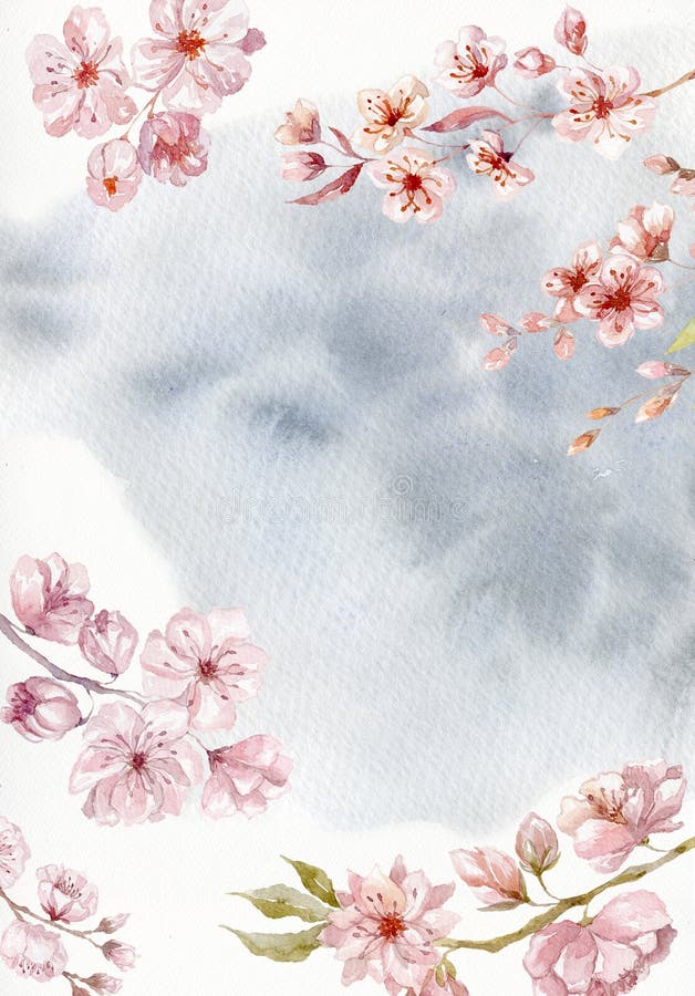 Watercolor Card with Sakura, Cherry Branches. Stock Image - Image of ...