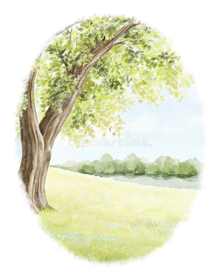Oval Trees Stock Illustrations – 438 Oval Trees Stock Illustrations ...