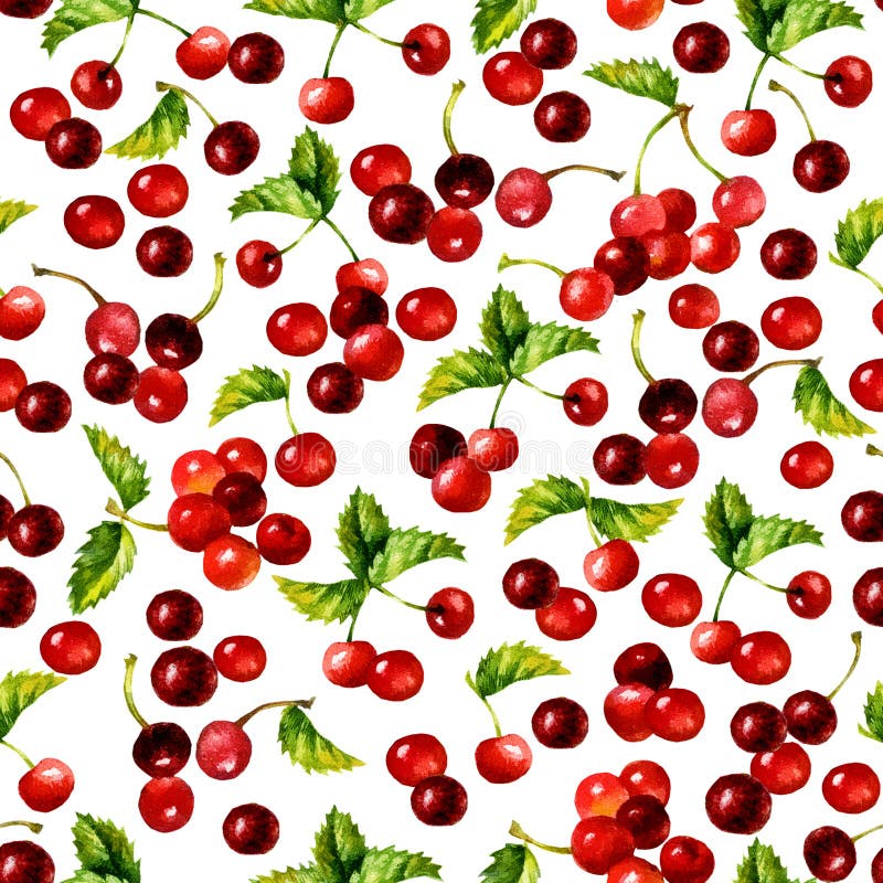 Watercolor Cherry, Seamless Pattern Stock Illustration - Illustration ...