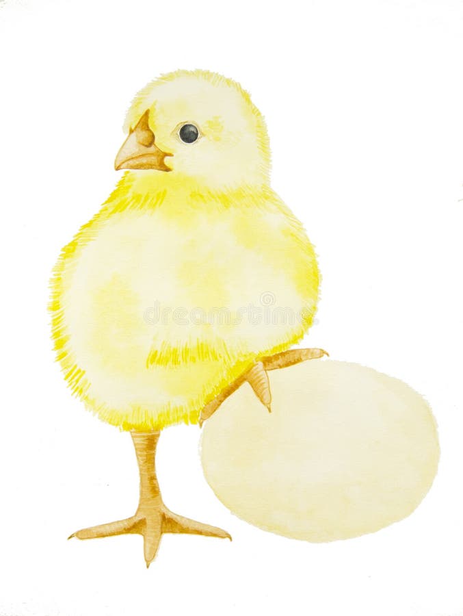 Watercolor Chicken. Spring Easter Chick. Watercolor Original ...