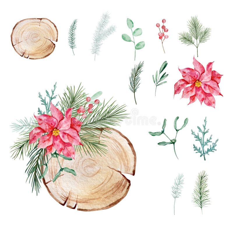 Watercolor Christmas Composition Winter Greenery and Flower Stock ...