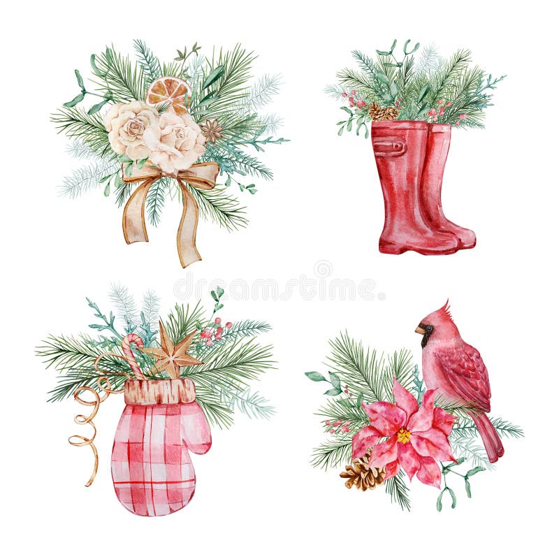 Watercolor Christmas Compositions Set with Winter Greenery Stock ...