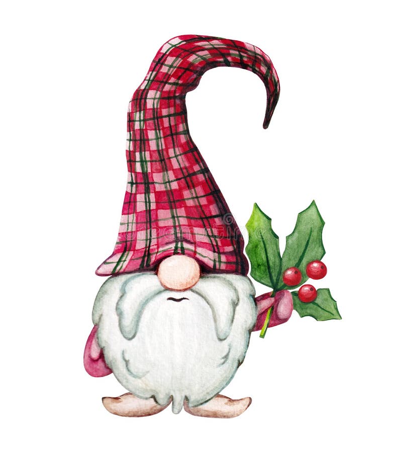 Watercolor Christmas Gnome In Cartoon Style With Holly In Hand Funny