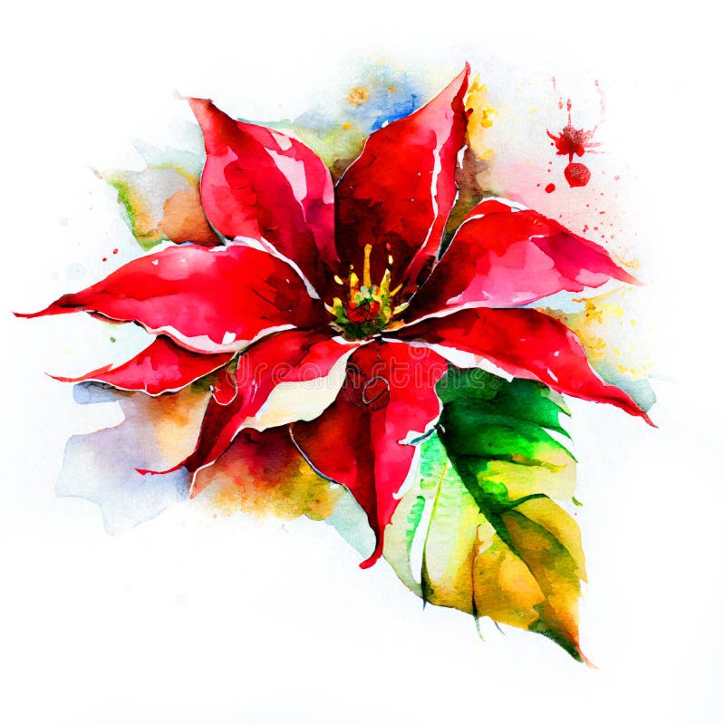 Watercolor Christmas Hand Drawn Illustration Red Christmas Flower