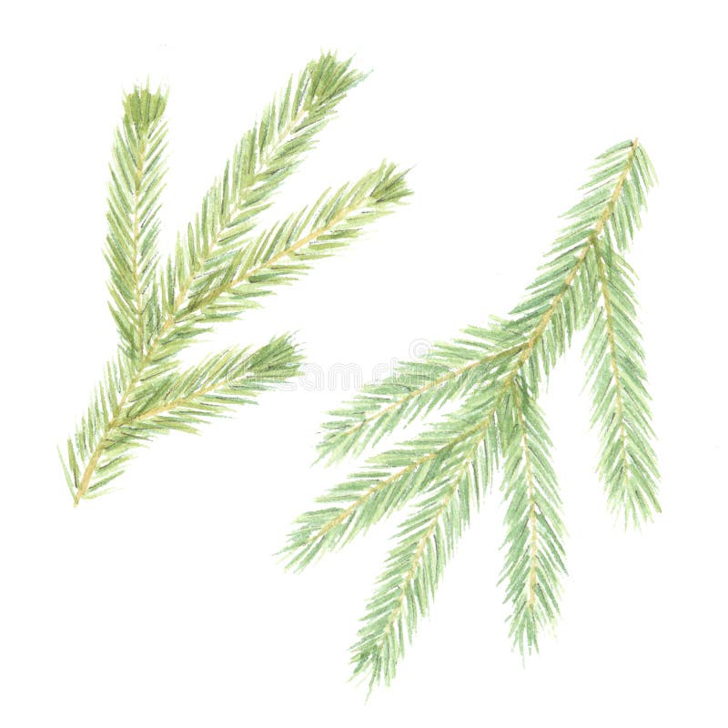 Felicitation Ceremony Ribbon Stock Illustrations – 25 Felicitation ...