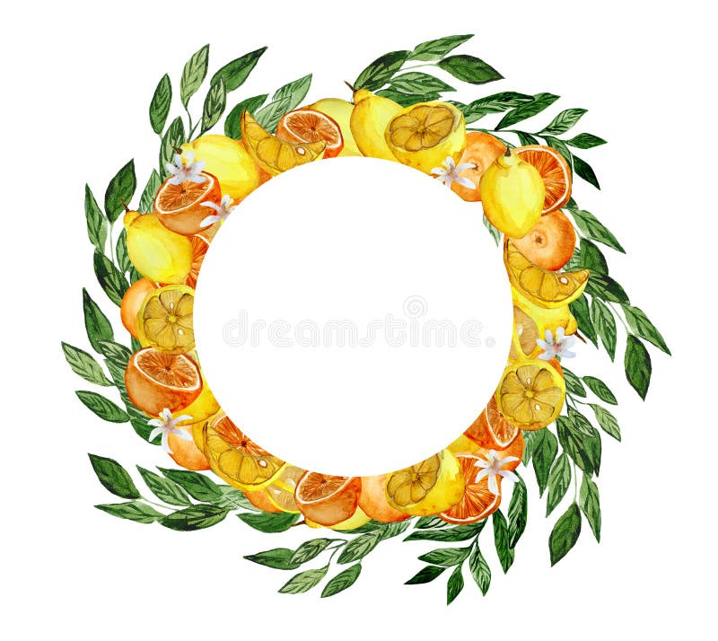 Watercolor Citrus Frame. Place for Text. Fruit Frame Stock Illustration ...