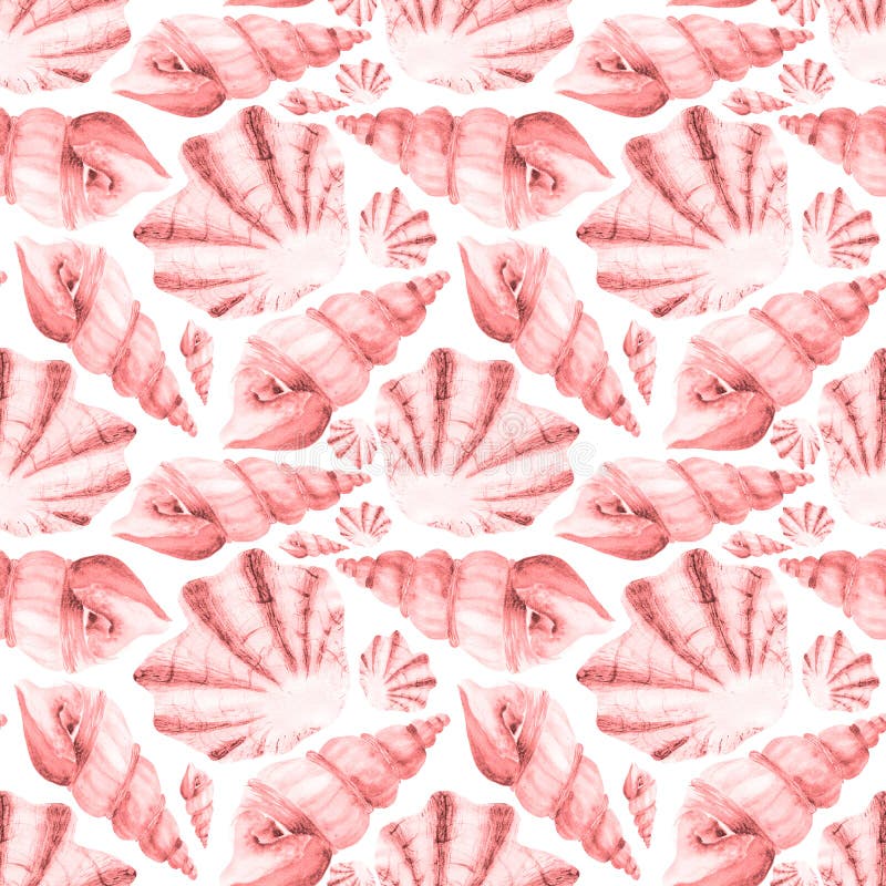 Shell seamless background. stock photo. Image of mollusk - 9605784