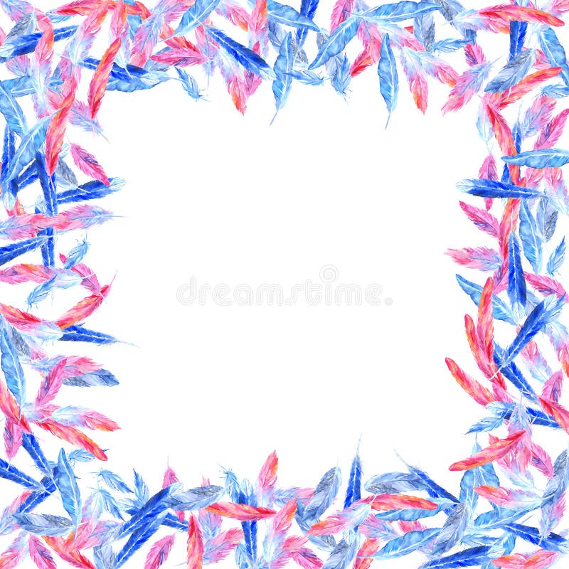 Watercolor Colorful Bird Feather Square Frame Border Composition ...