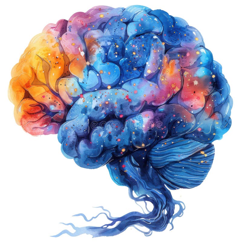 Watercolor Colorful Sparkle Brain Isolated on White Background Stock ...