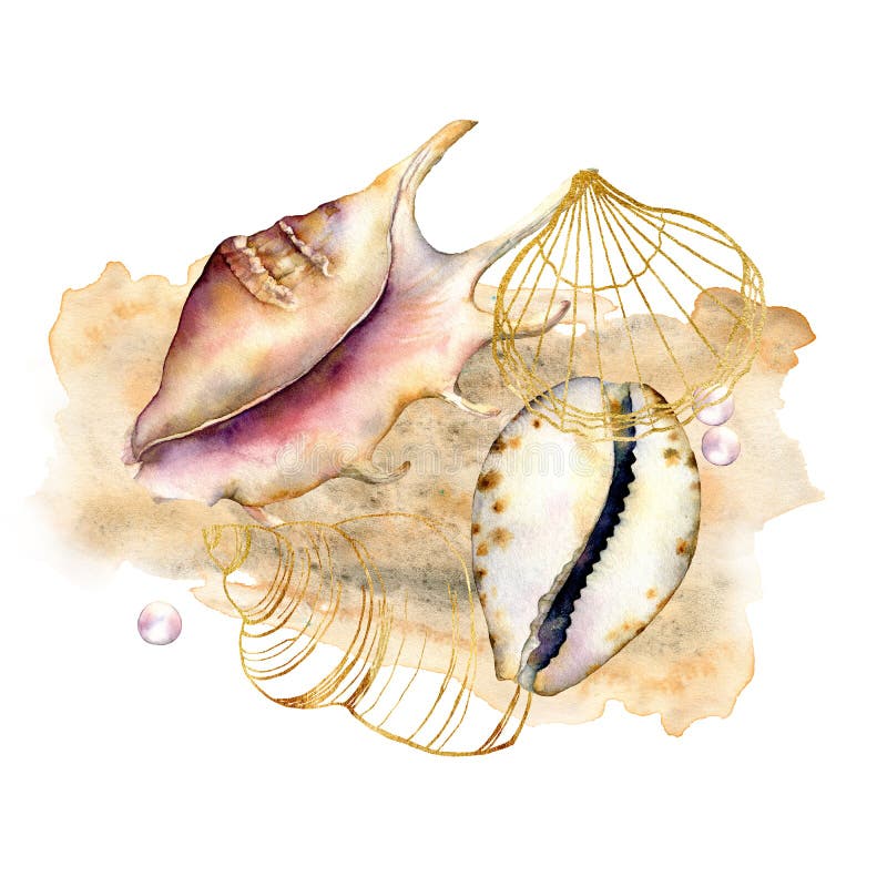 Watercolor Sea Shells Line Art Set. Hand Painted Underwater Element ...