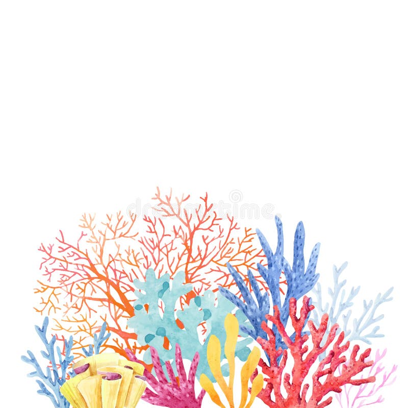 Watercolor, , Sea, Coral, Shell Stock Illustration - Illustration of ...