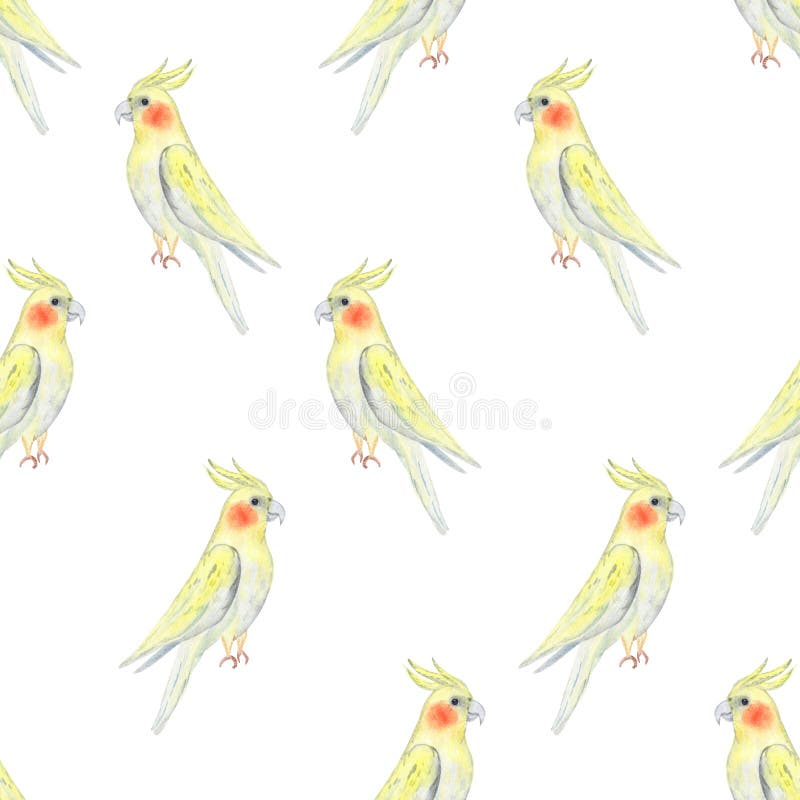 Watercolor Corella Yellow Parrot Seamless Pattern on White Stock Photo ...