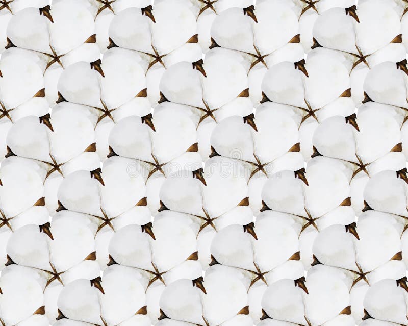 Watercolor cotton pattern stock photo. Image of painting - 71085564