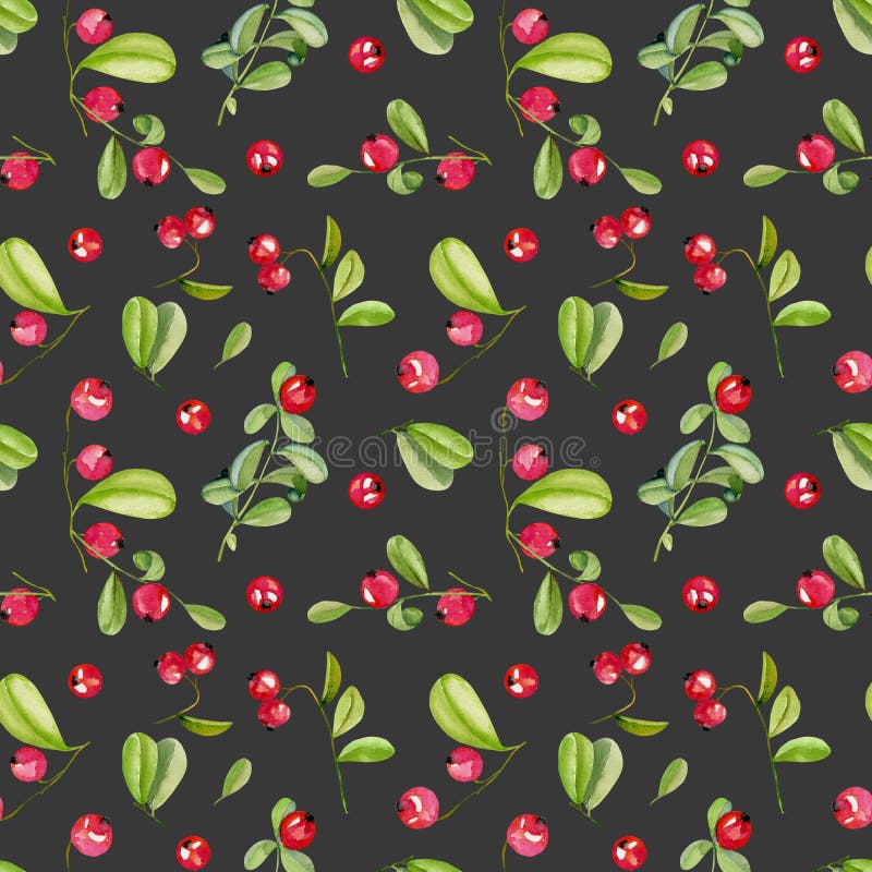 Watercolor Cranberry Seamless Pattern Stock Illustration - Illustration ...
