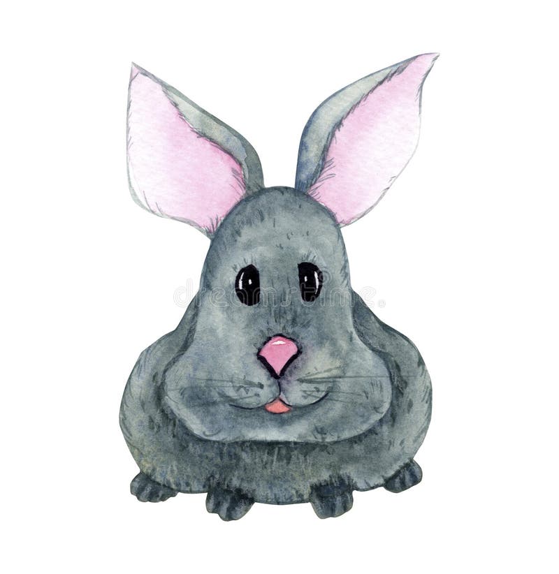 Watercolor Illustration Grey Rabbit Stock Illustrations – 591 ...