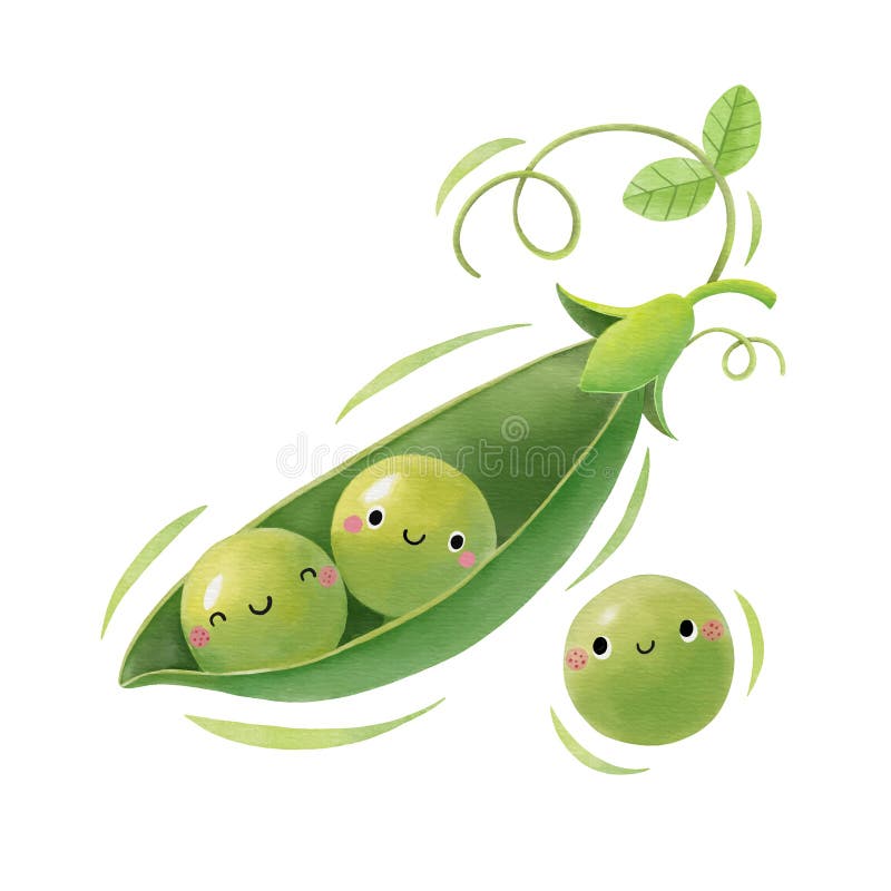 Watercolor Cute Peas Cartoon Character. Vector Illustration Stock ...