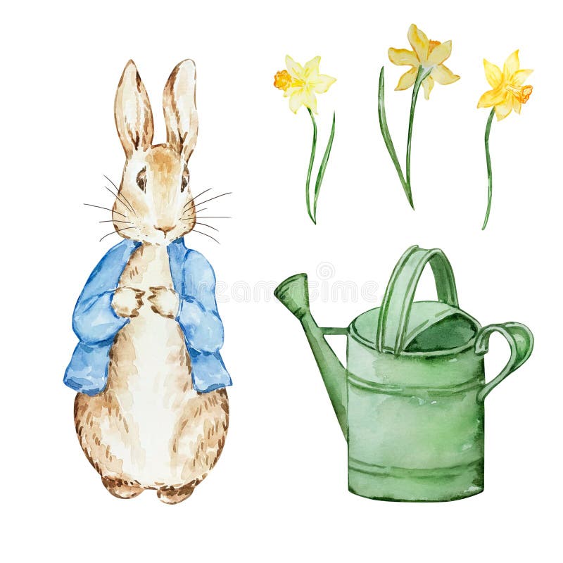 Peter Rabbit Blue Jacket Stock Illustrations – 85 Peter Rabbit Blue ...