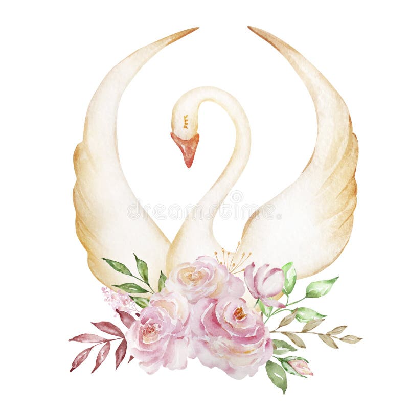 Watercolor Delicate White Swan with a Bouquet Stock Vector ...