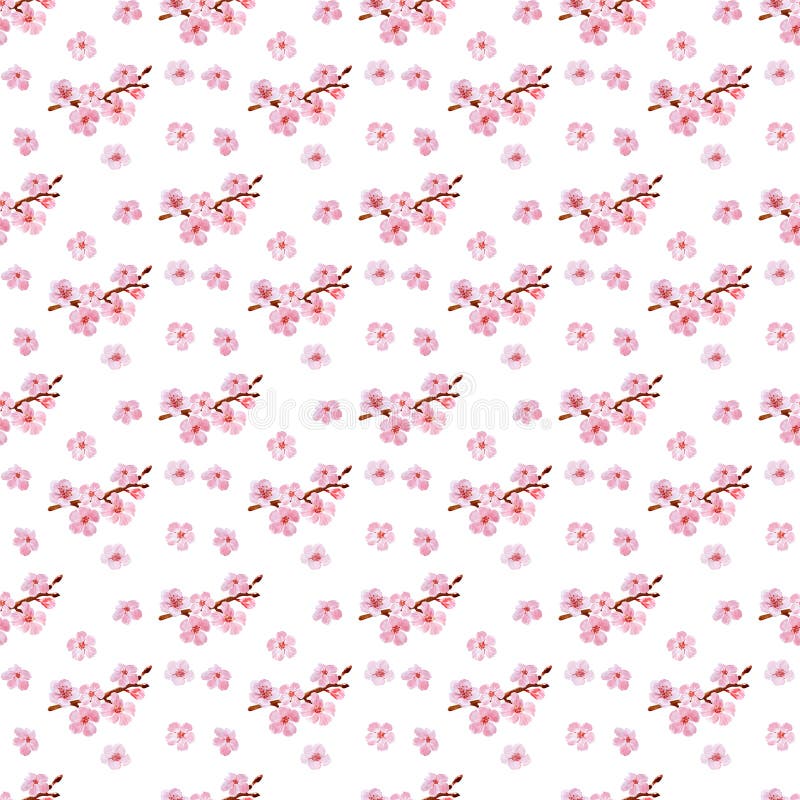 Watercolor Seamless Pattern Drawing with Branches and Cherry Blossoms ...
