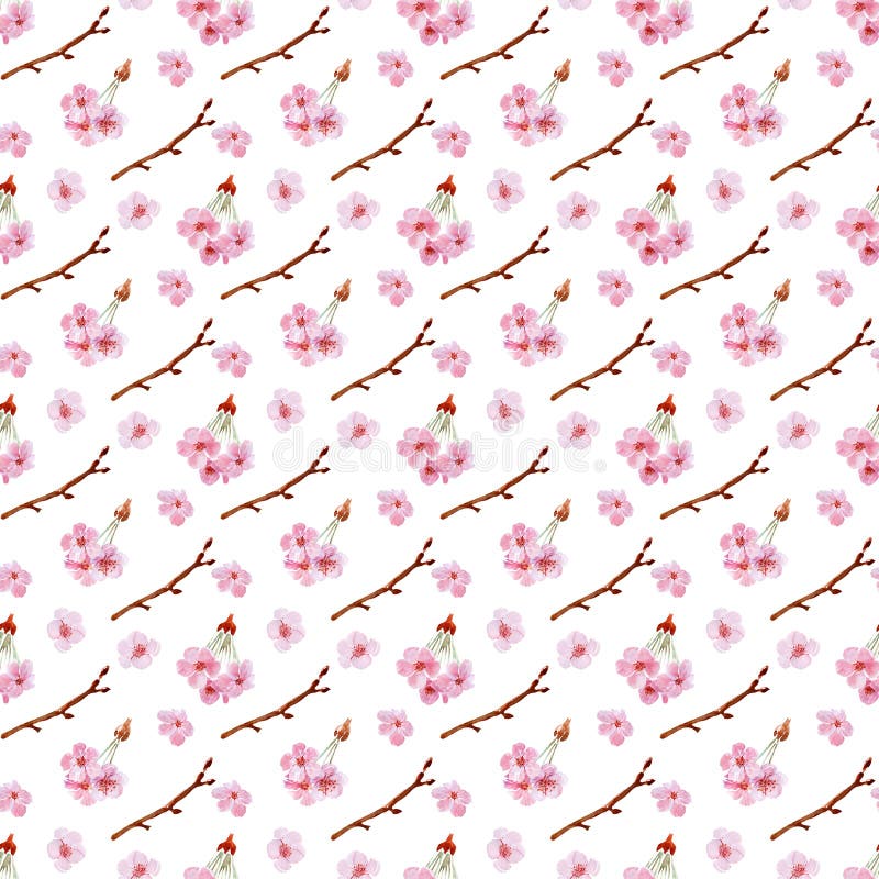 Watercolor Seamless Pattern Drawing with Branches and Cherry Blossoms ...