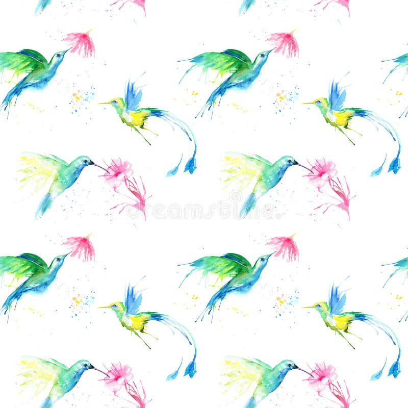 Watercolor Drawing of a Bird - a Hummingbirds Seamless Pattern Stock ...