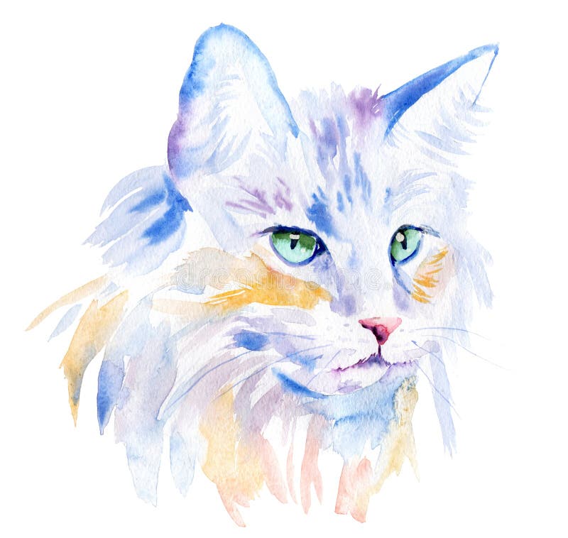 Watercolor Drawing of a Cat Drawn by Hand - Norwegian Forest Cat. Stock ...