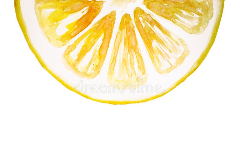 Watercolor Drawing of Half of Lemon Isolated on the White Background ...