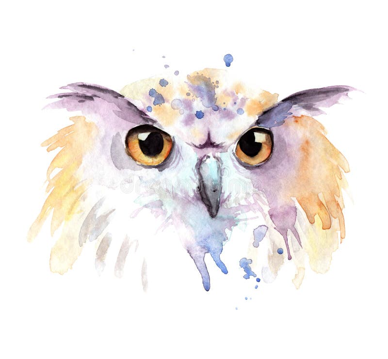 Watercolor Drawing of a Night Bird - Head of an Owl Stock Image - Image ...