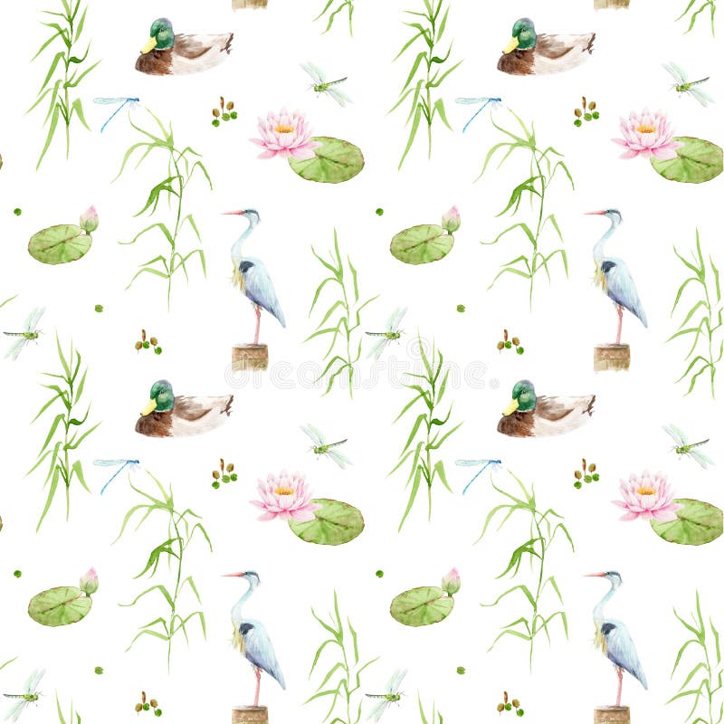 Watercolor Drawing Pond, Lake, Swamp - Seamless Pattern Stock Photo ...