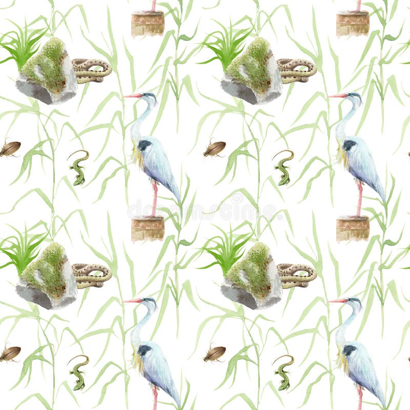 Watercolor Drawing Pond, Lake, Swamp - Seamless Pattern Stock ...