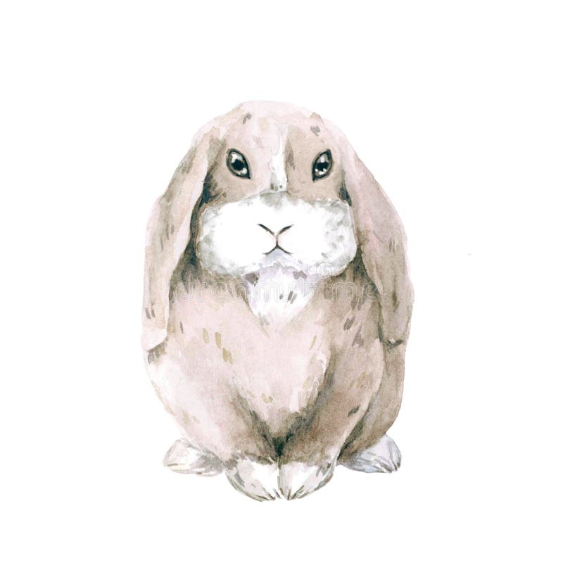 Rabbit Eared Stock Illustrations – 573 Rabbit Eared Stock Illustrations ...