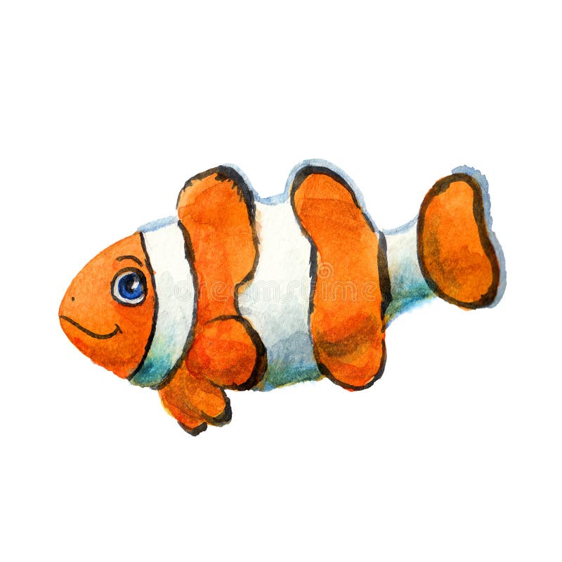 Watercolor Drawing of a Smiling Orange Clown Fish Stock Photo - Image ...