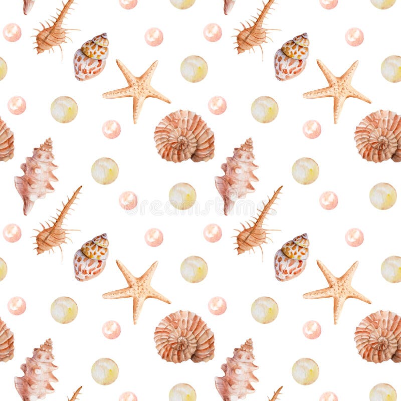 101 Sea Shells Drawings Stock Photos - Free & Royalty-Free Stock Photos ...