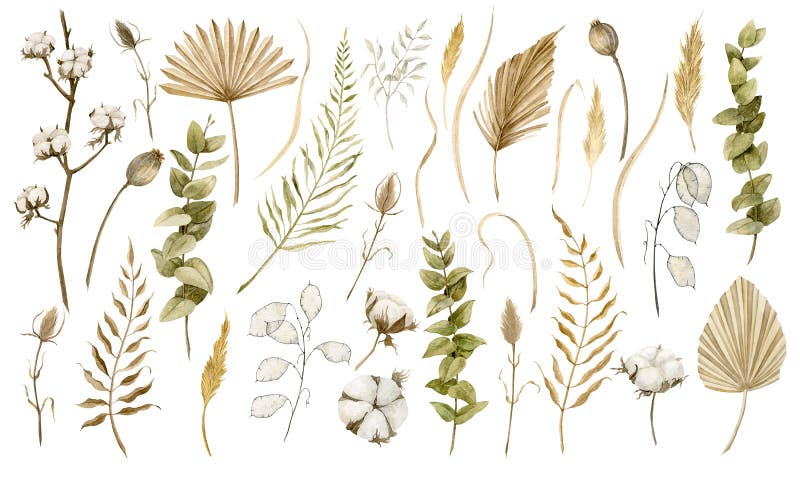 Watercolor Dried Plants. Hand Drawn Illustration of Dry Palm Leaves ... Watercolor Dried Plants. Hand Drawn Illustration of Dry Palm Leaves ...