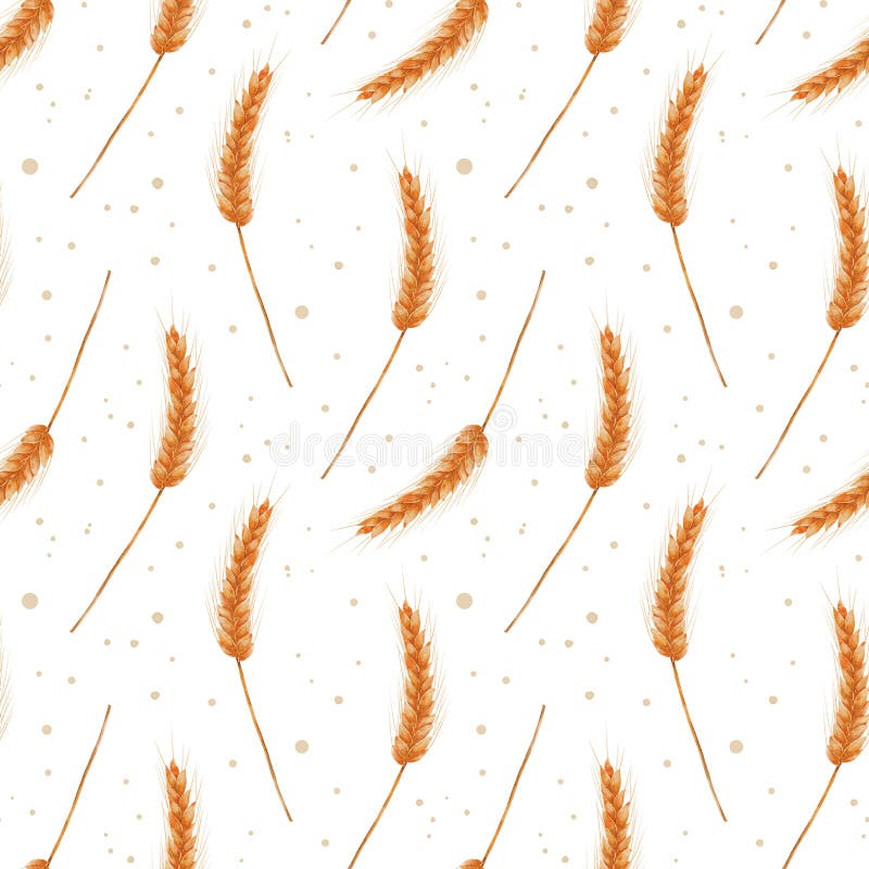 Watercolor Ear of Ripe Wheat. Botanical Seamless Pattern with Grain ...