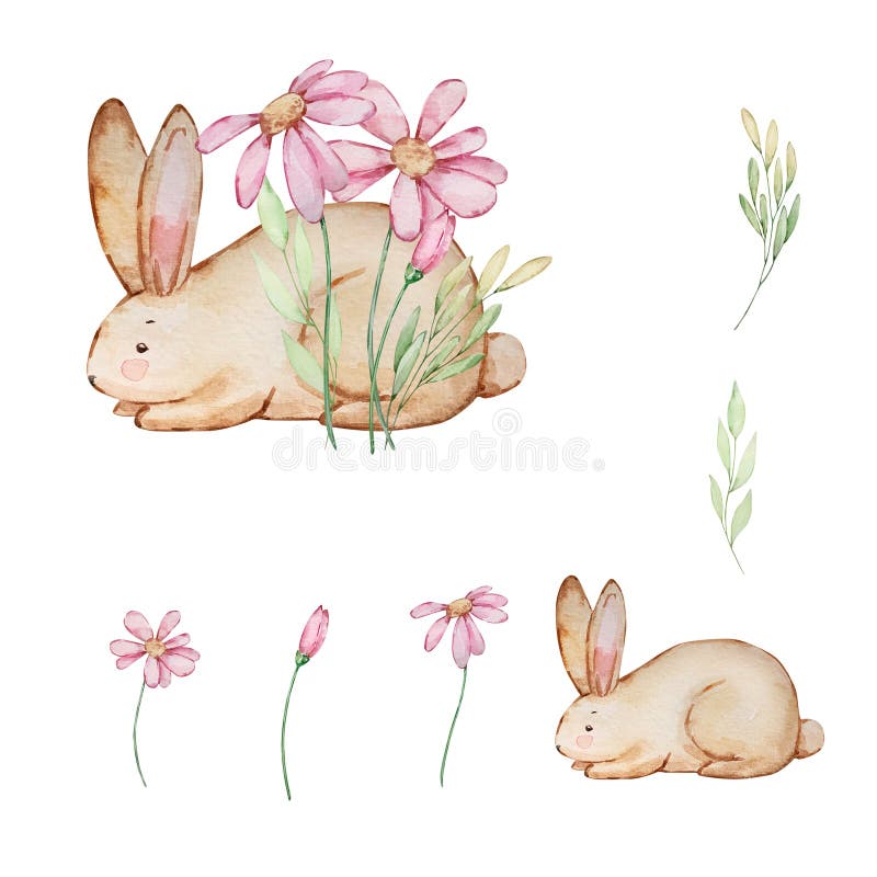 Watercolor Easter Rabbit with Spring Flowers Stock Illustration ...