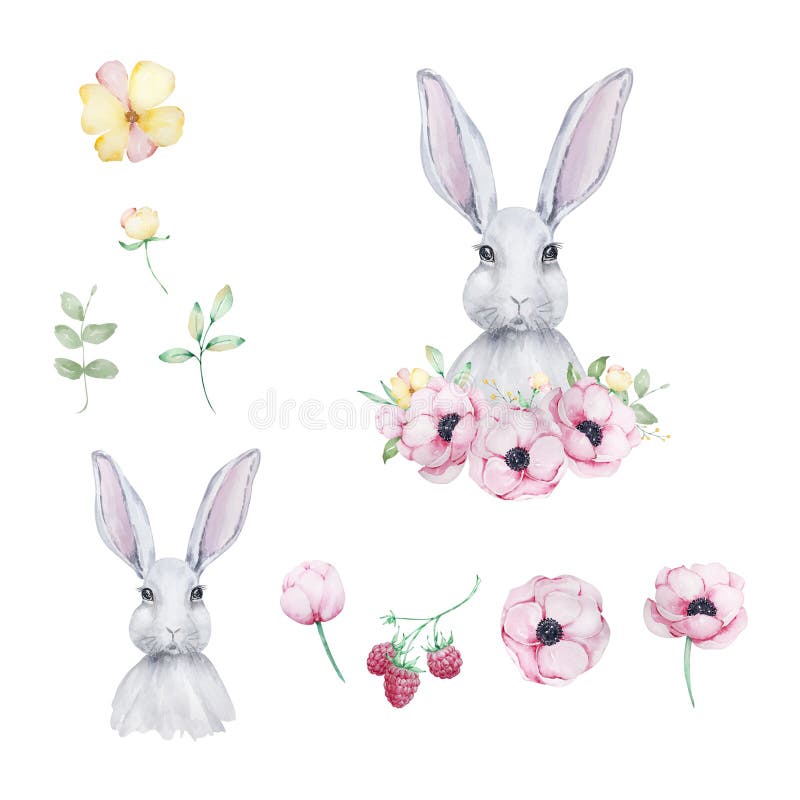 Watercolor Easter White Rabbit with Spring Flowers Stock Illustration ...