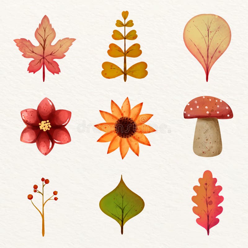 Watercolor Elements Set for Autumn Celebration Vector Illustration ...