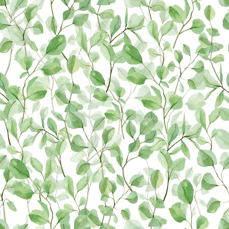 Watercolor Eucalyptus Seamless Patterns, Leaves and Branches. Hand Painted Botanical Greenery ...