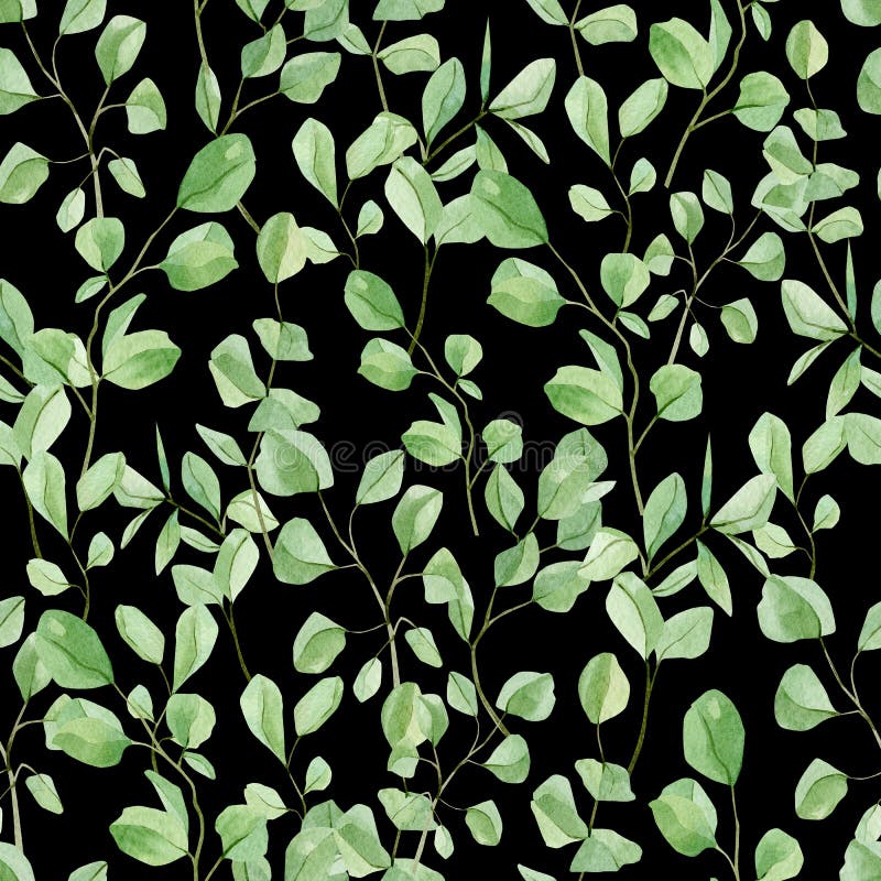 Watercolor Eucalyptus Seamless Patterns, Leaves and Branches. Hand Painted Botanical Greenery ...