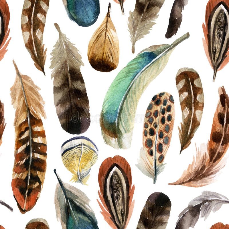 Watercolor feather set stock illustration. Illustration of decoration ...