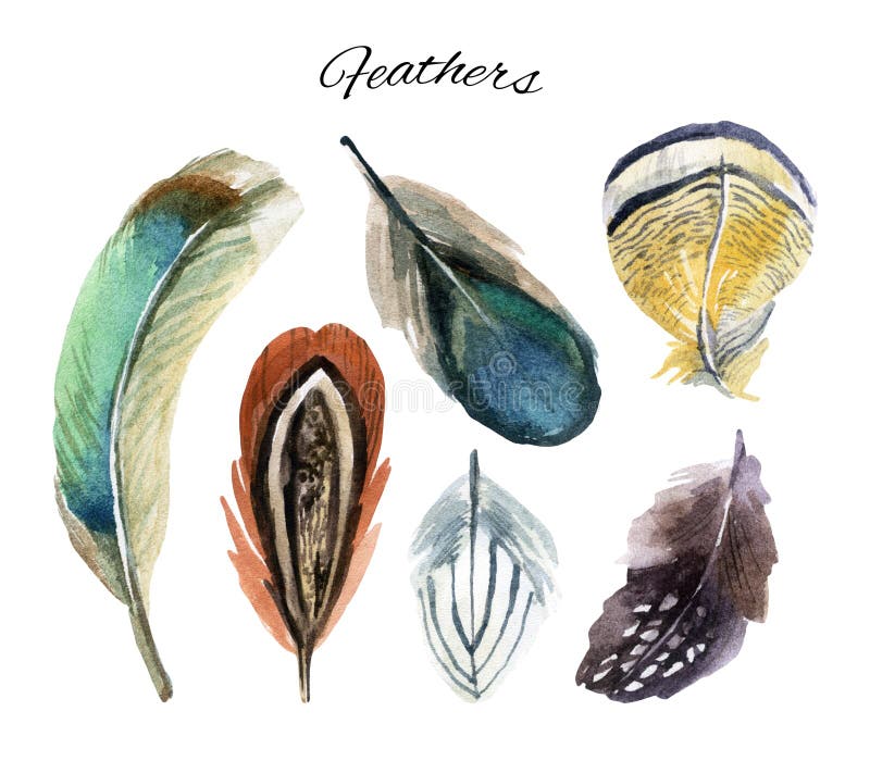 Watercolor feather set stock illustration. Illustration of decoration ...