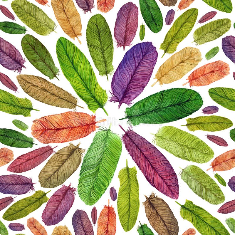 Watercolor Feathers Seamless Pattern Stock Illustration - Illustration ...