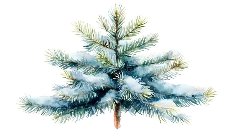 Watercolor Fir Tree Design for Cards: Elegant and Versatile Nature ...