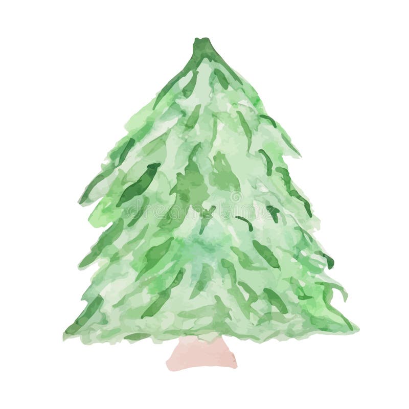 Watercolor Fir Tree, Hand Drawn Illustration Stock Vector ...