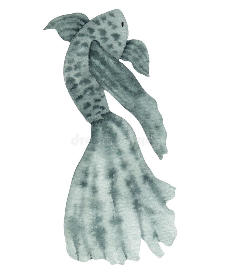 Fish Sketch. Hand Drawn Blue Fish Illustration. Simple,stylized Style ...