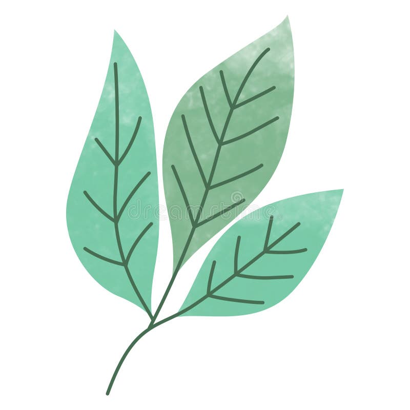 Watercolor Floral Element Design Asset Stock Illustration ...