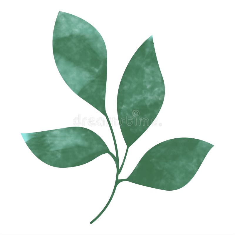 Watercolor Floral Element Design Asset Stock Illustration ...