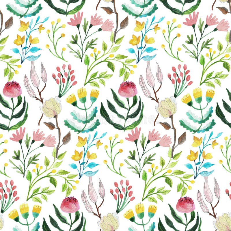 Watercolor Floral Pattern, Botanical Illustration. Stock Illustration ...