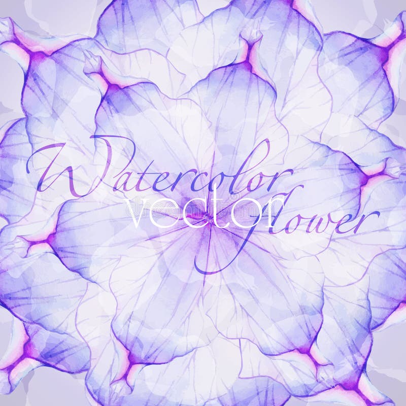 Floral Round Pattern of the Flower Petals Stock Vector - Illustration ...